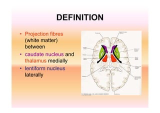 Internal Capsule.pdf