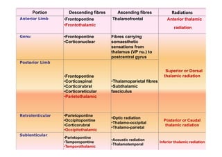 Internal Capsule.pdf