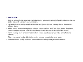Internal Capsule_Divisions_fibres_lesions | PPTX