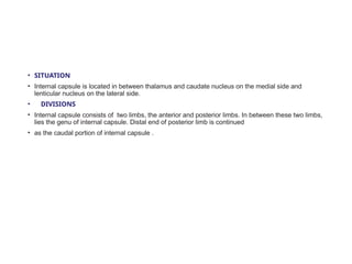 Internal Capsule_Divisions_fibres_lesions | PPTX