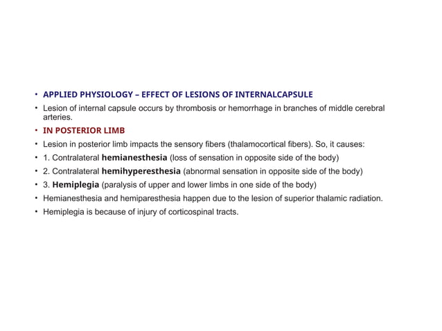 Internal Capsule_Divisions_fibres_lesions | PPTX