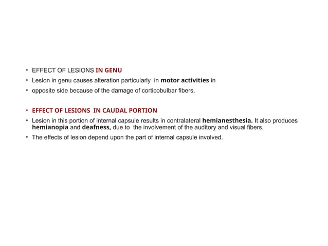Internal Capsule_Divisions_fibres_lesions | PPTX