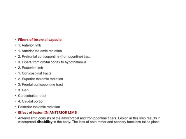Internal Capsule_Divisions_fibres_lesions | PPTX