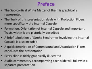 Brain Internal Capsule – Structure Orientation Tracts - Sanjoy Sanyal ...