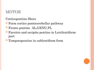 Anatomy of internal capsule UPDATED.pptx