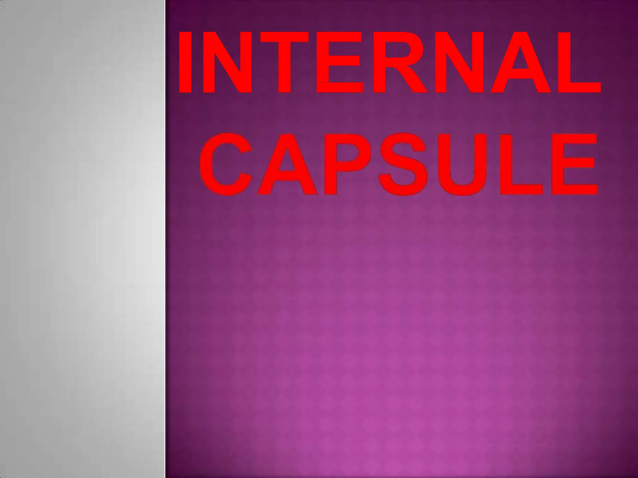 internal capsule white matter of cerebrum.pptx