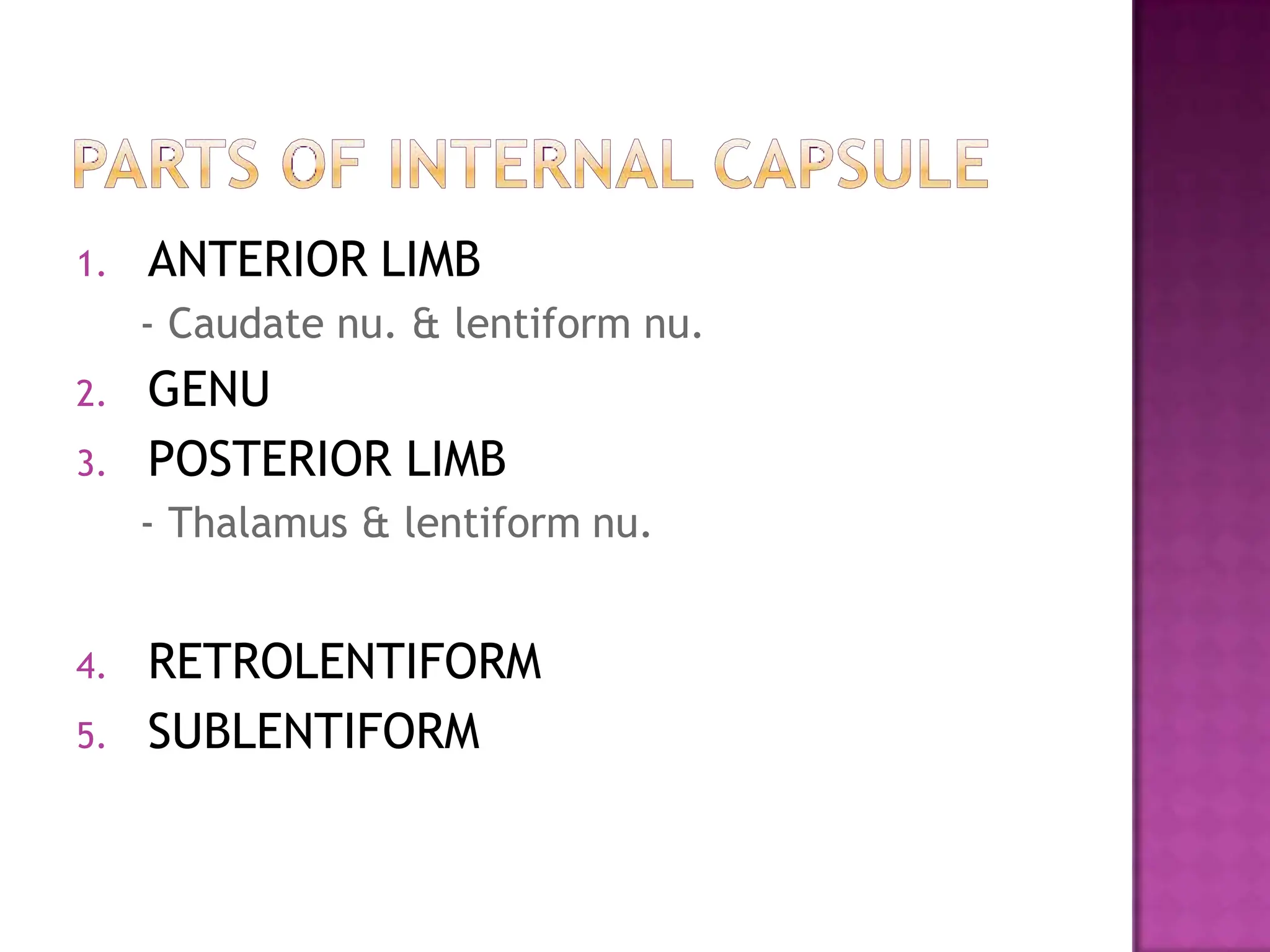 internal capsule white matter of cerebrum.pptx