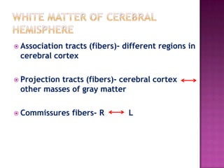 internal capsule white matter of cerebrum.pptx