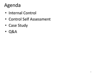 Internal control and Control Self Assessment | PDF