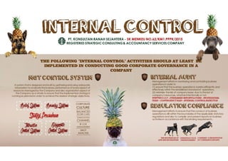 Internal control (infographic) | PDF