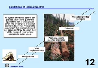 internal control and internal audit.PPT
