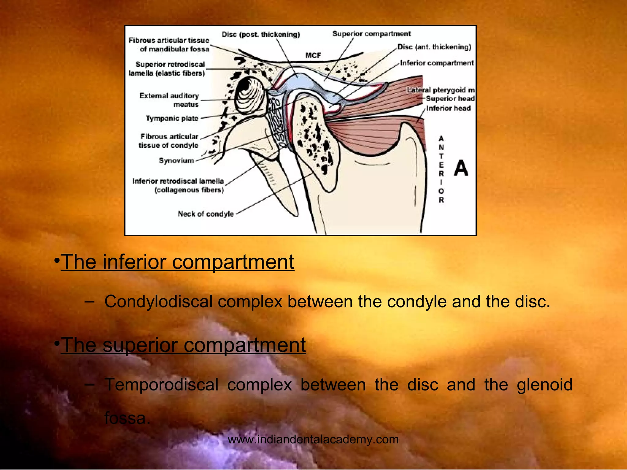 Internal disk derangement/ dental crown & bridge courses | PPT