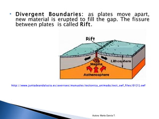 Internal dynamics | PPT