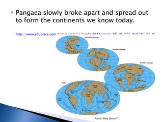 Internal dynamics | PPT