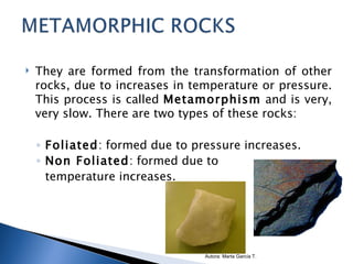 Internal dynamics | PPT