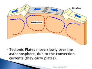 Internal dynamics | PPT