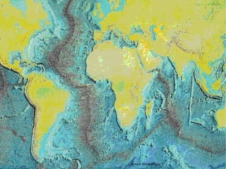 Internal dynamics | PPT