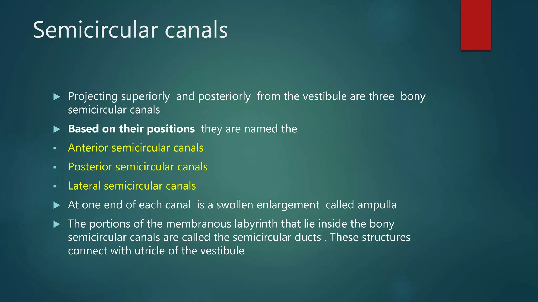 Internal ear | PPTX