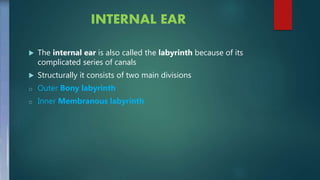 Internal ear | PPTX