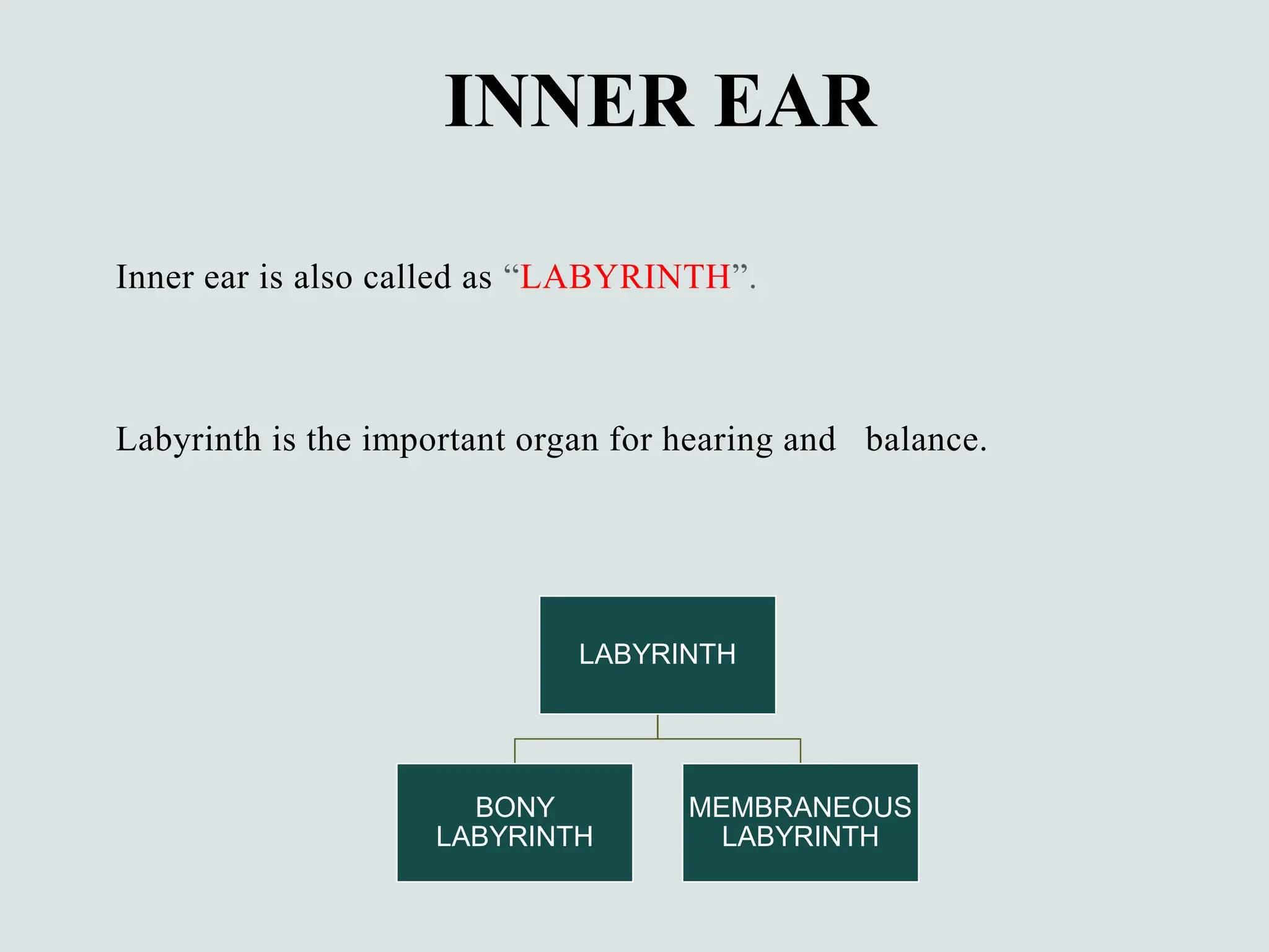 INTERNAL EAR .ENT.pptx for medical students and staffs which is ...
