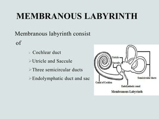 INTERNAL EAR .ENT.pptx for medical students and staffs which is ...