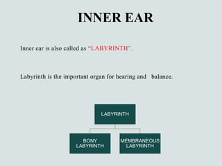INTERNAL EAR .ENT.pptx for medical students and staffs which is ...