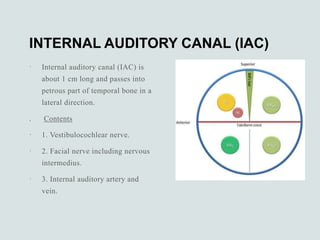 INTERNAL EAR .ENT.pptx for medical students and staffs which is ...