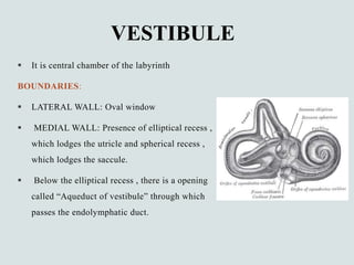INTERNAL EAR .ENT.pptx for medical students and staffs which is ...