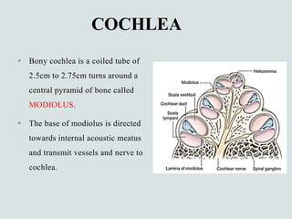 INTERNAL EAR .ENT.pptx for medical students and staffs which is ...