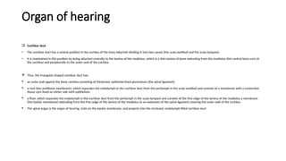 Internal ear.ANATOMY OF THE INTERNAL EAR | PPTX