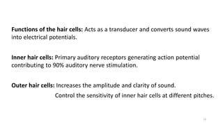 Internal Ear & Mechanism of Hearing | PDF