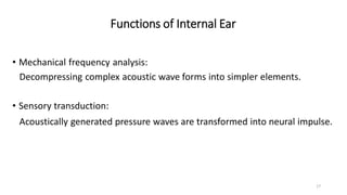 Internal Ear & Mechanism of Hearing | PDF
