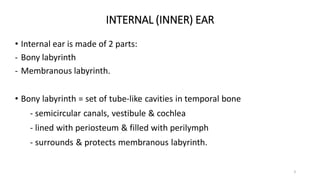 Internal Ear & Mechanism of Hearing | PDF