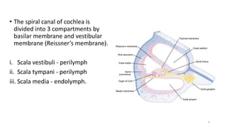 Internal Ear & Mechanism of Hearing | PDF