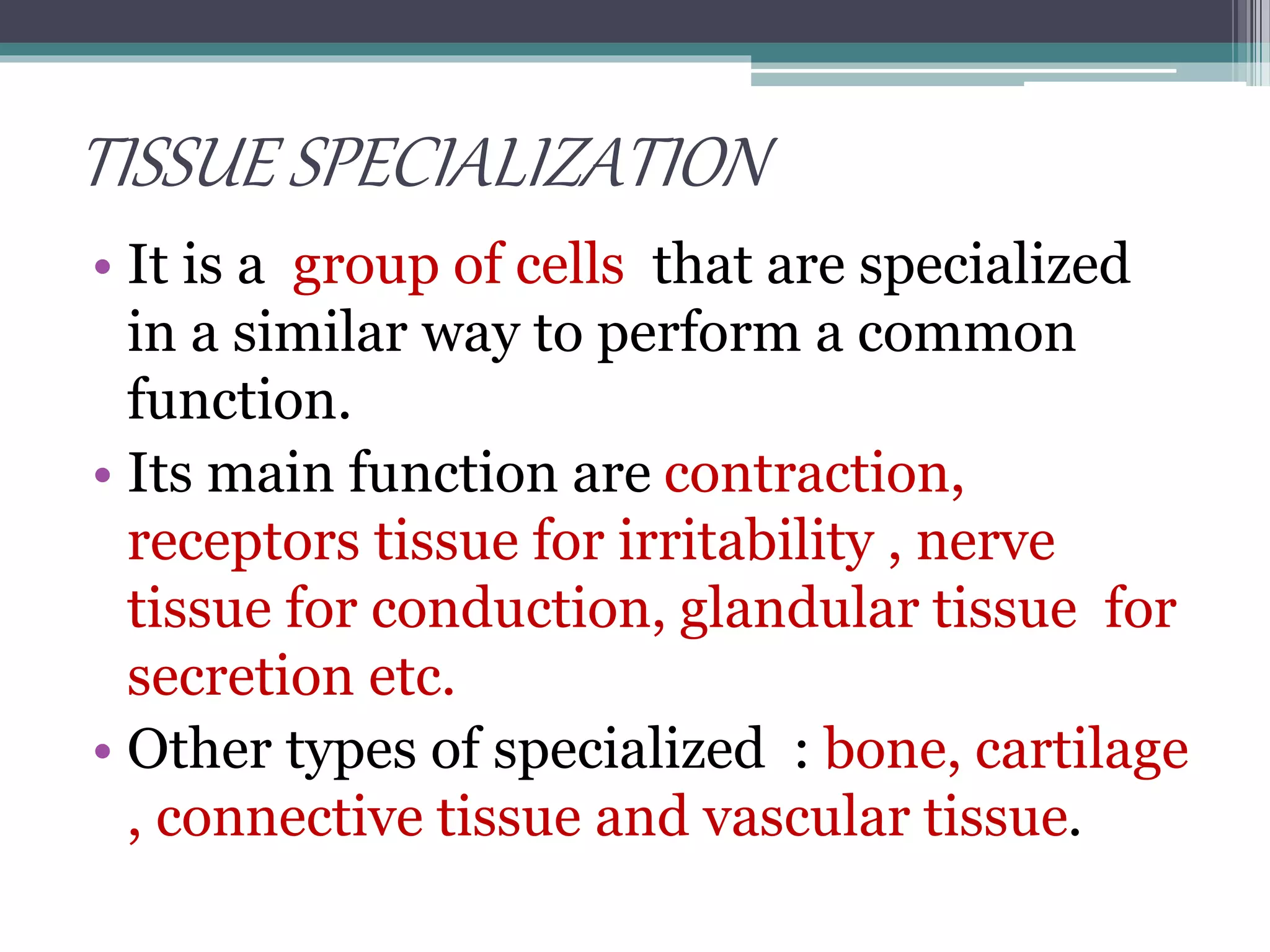 Internal environment and homeostasis | PPTX