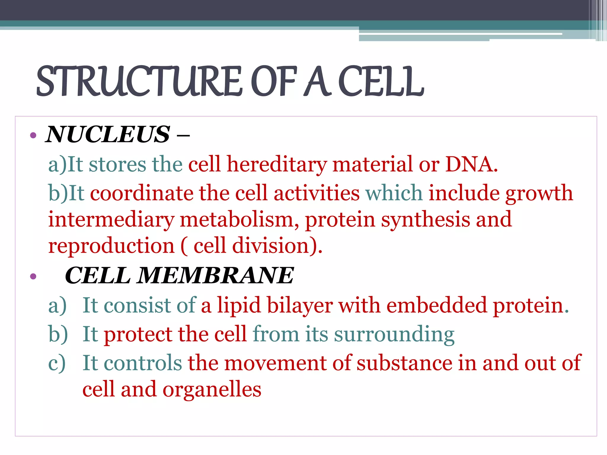 Internal environment and homeostasis | PPTX