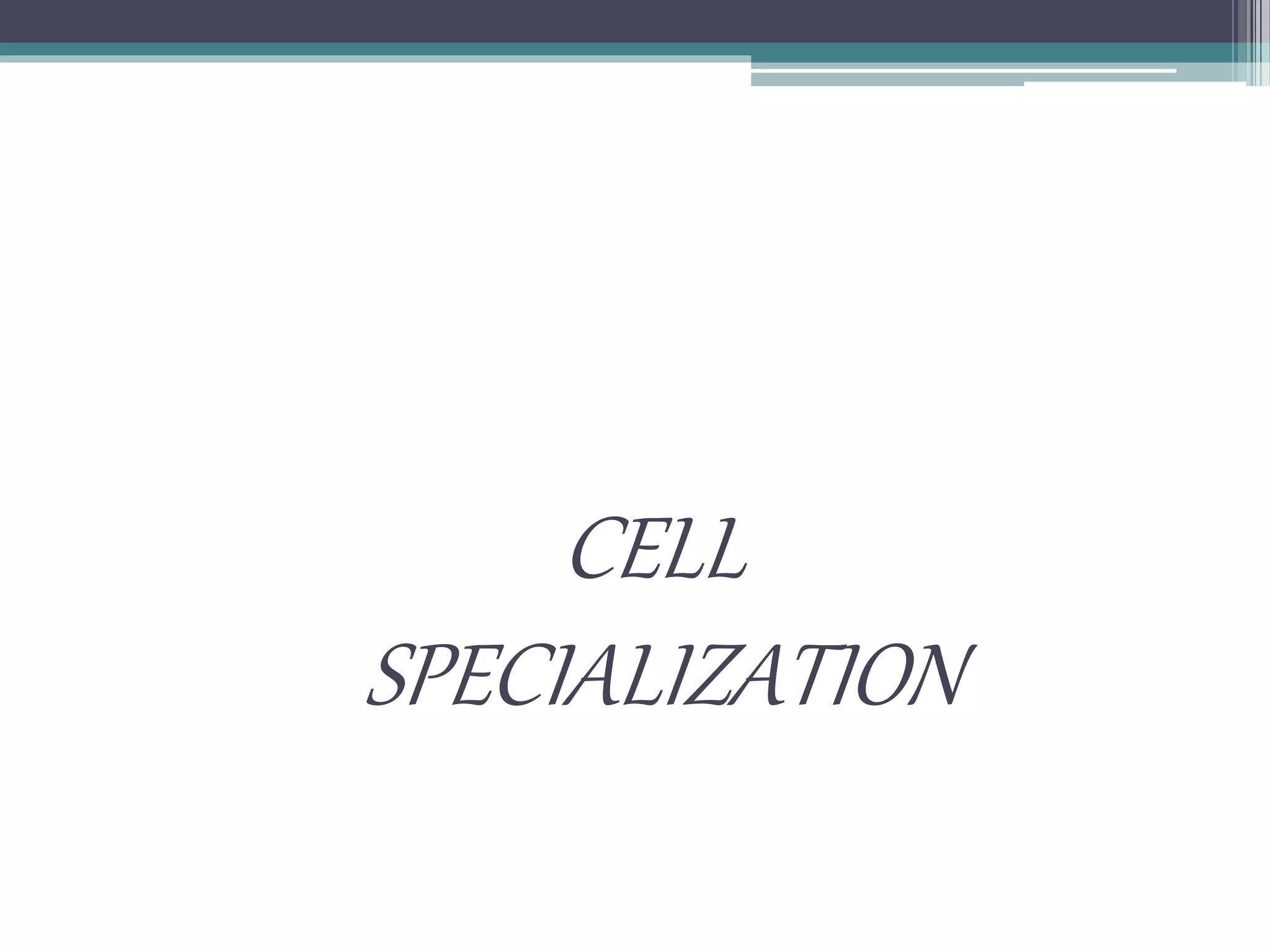 Internal environment and homeostasis | PPTX