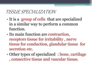 Internal environment and homeostasis | PPTX