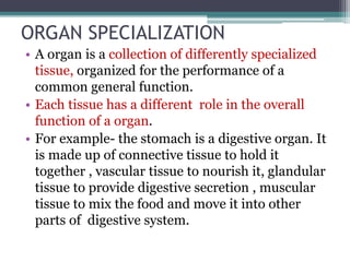 Internal environment and homeostasis | PPTX