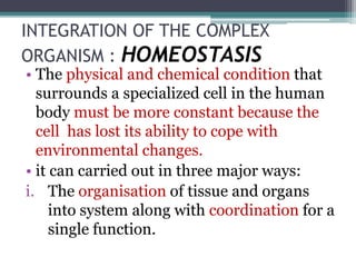 Internal environment and homeostasis | PPTX