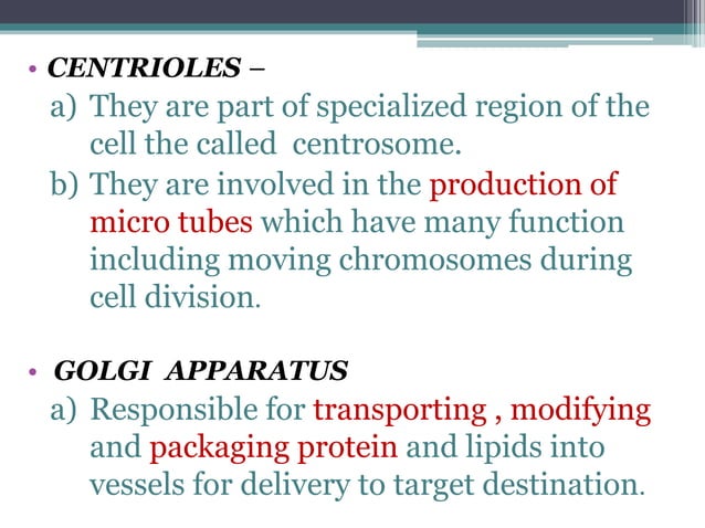Internal environment and homeostasis | PPTX