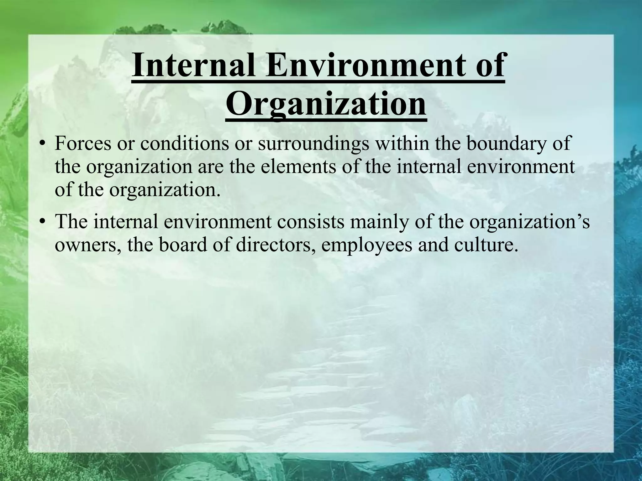 Internal&external environment of organization | PPTX