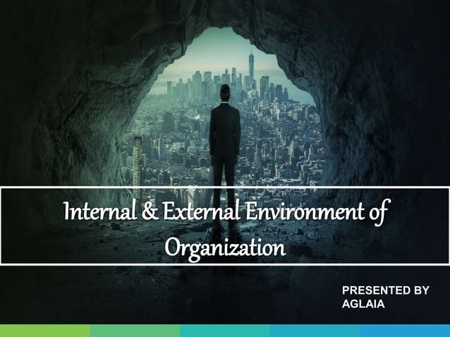 Internal&external environment of organization | PPTX