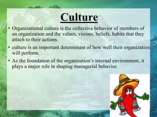 Internal&external environment of organization | PPTX