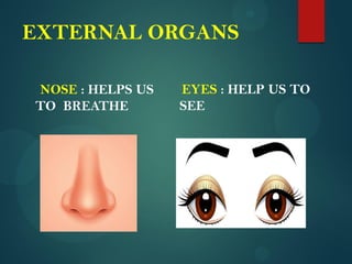 ORGANS OF THE BODY | PPT