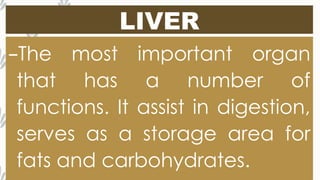 INTERNAL AND EXTERNAL PARTS OF A FISH.pptx