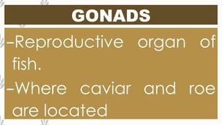 INTERNAL AND EXTERNAL PARTS OF A FISH.pptx