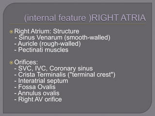Internal feature of right and left atria | PPTX