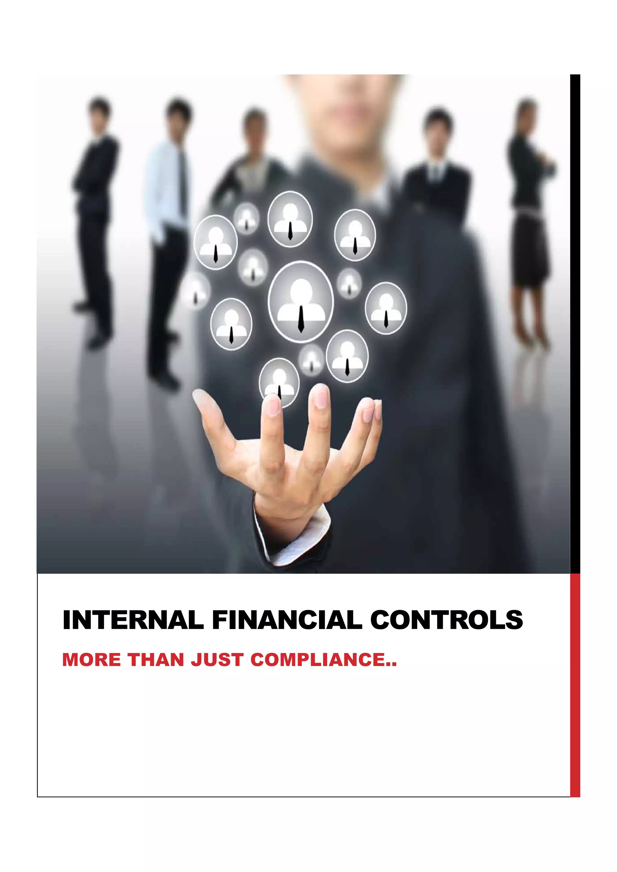 Internal financial control | PDF