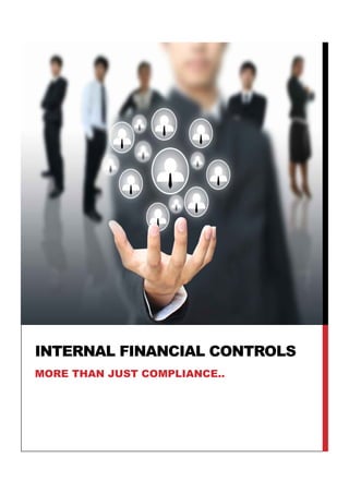 Internal financial control | PDF